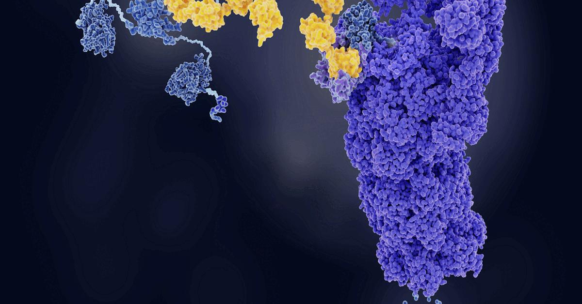 Understanding PROTACs: A New Era in Drug Development – Scientia ...